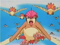 Personnage > Roucarnage - Pokébip.com