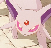 Équipe du Site - Percila - Pokébip.com