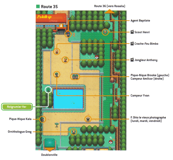 Pokémon Or HeartGold et Argent SoulSilver > Guide des Lieux > Route 35 ...