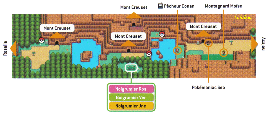 Pokémon Or HeartGold et Argent SoulSilver > Guide des Lieux > Route 42 ...