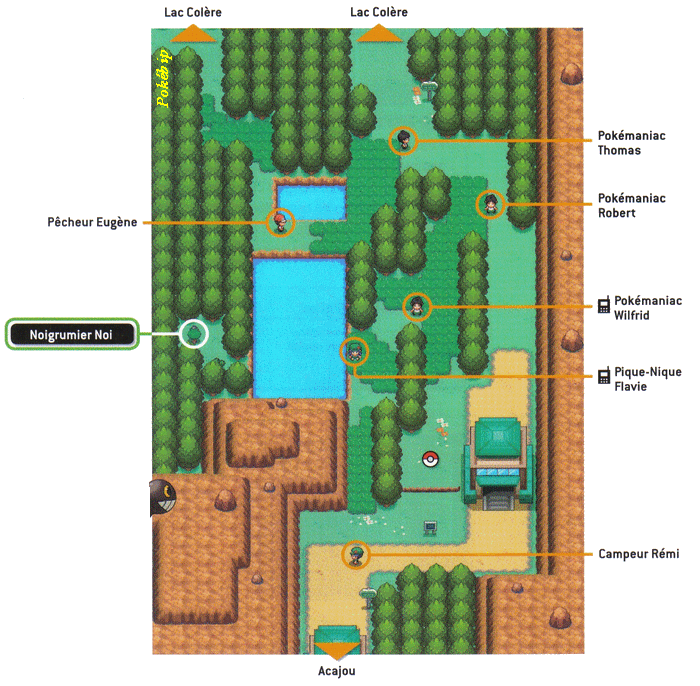 Pokémon Or HeartGold et Argent SoulSilver > Guide des Lieux > Route 43 ...