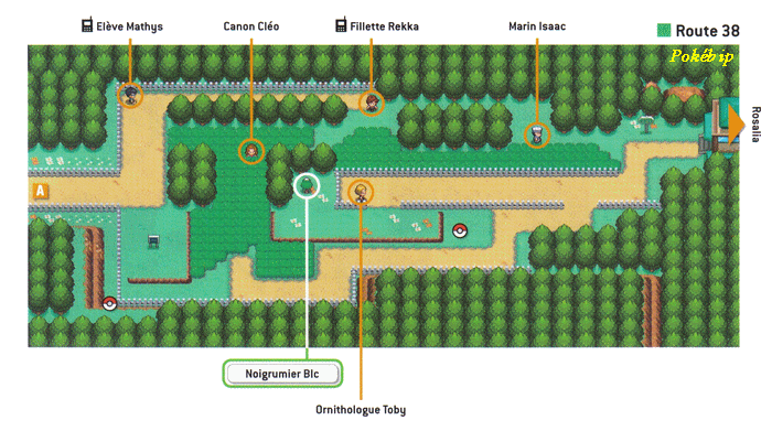 Pokémon Or HeartGold et Argent SoulSilver > Guide des Lieux > Route 38 ...