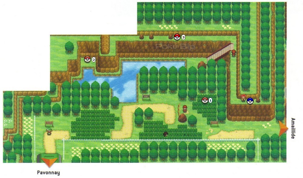 Pokémon Noir 2 et Blanc 2 > Guide des Lieux > Route 19 - Pokébip.com