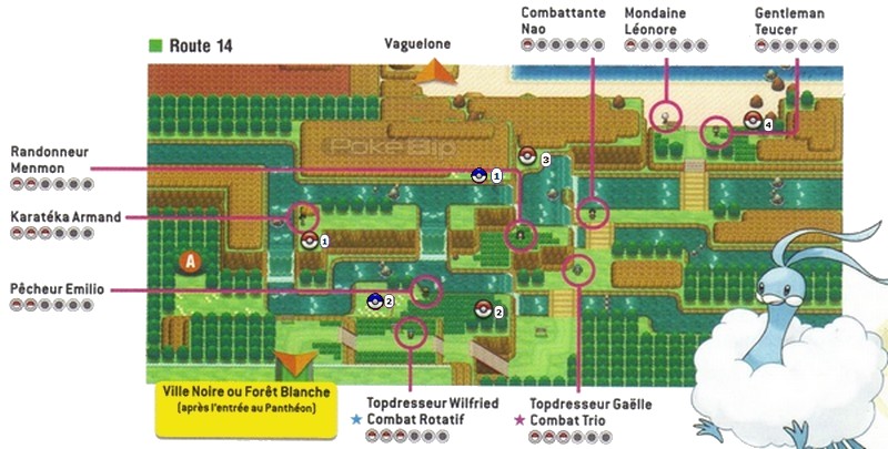 Pokémon Noir 2 et Blanc 2 > Guide des Lieux > Route 14 - Pokébip.com