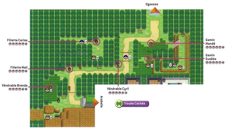 Pokémon Noir 2 et Blanc 2 > Guide des Lieux > Route 2 - Pokébip.com