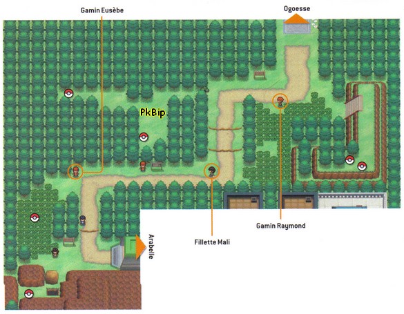 Pokémon Noir et Blanc > Guide des Lieux > Route 2 - Pokébip.com