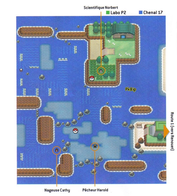 Pokémon Noir et Blanc > Guide des Lieux > Route 17 - Pokébip.com