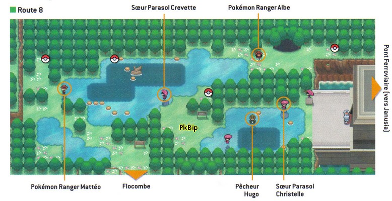 Pokémon Noir et Blanc > Guide des Lieux > Route 8 - Pokébip.com