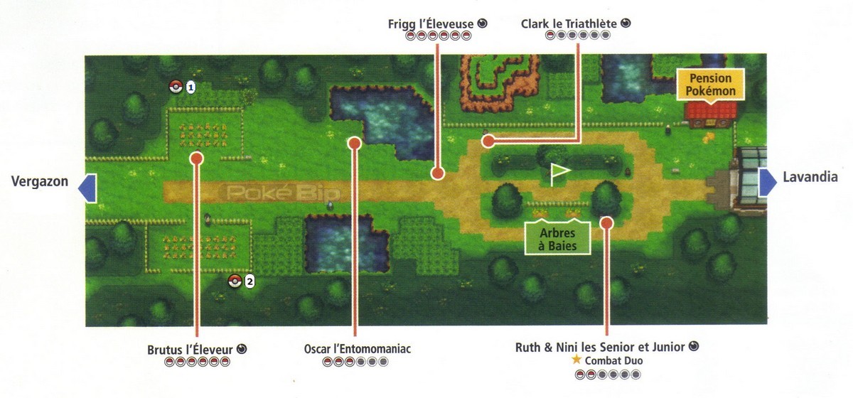 Pokémon Rubis Oméga et Saphir Alpha > Guide complet de Hoenn > Route ...