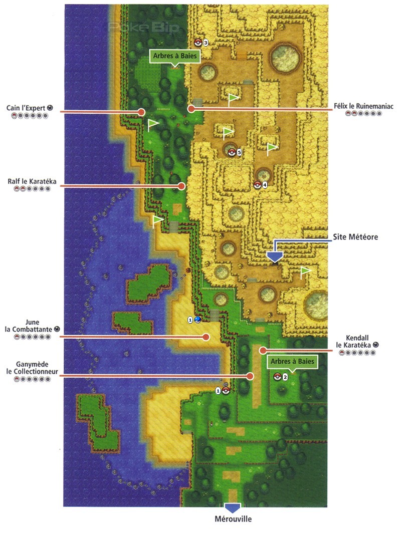 Pokémon Rubis Oméga et Saphir Alpha > Guide complet de Hoenn > Route ...