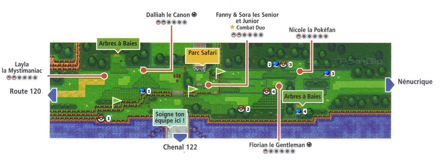 Pokémon Rubis Oméga et Saphir Alpha > Guide complet de Hoenn > Route ...