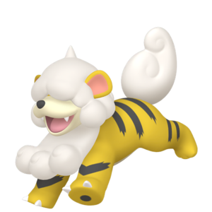 Fiche de Caninos de Hisui - Pokébip.com